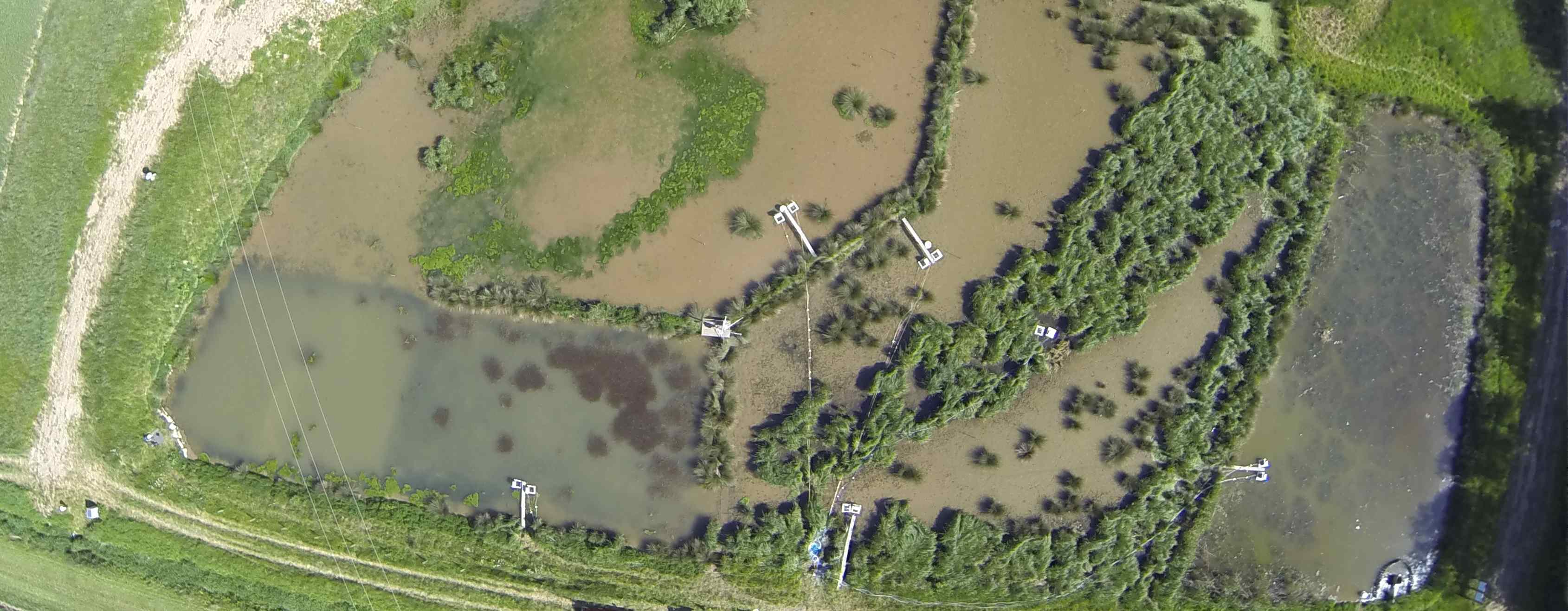 BIOSEFAIR - SynBioTox - Thèse 2021 / 2024